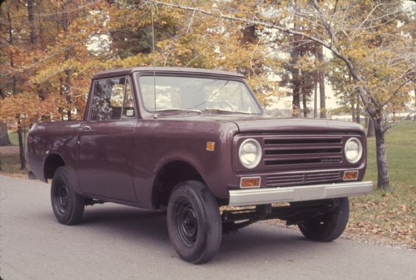Purple Scout | Photograph | Wisconsin Historical Society