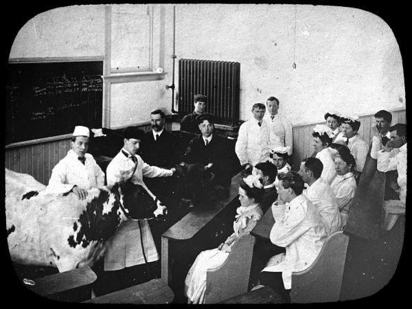 Men and Women with Cow in Classroom | Photograph | Wisconsin Historical ...