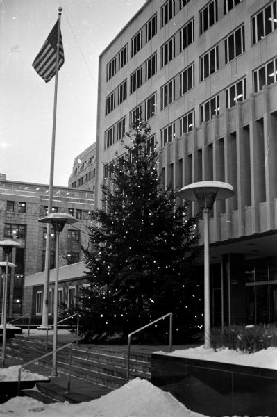 Madison's Community Christmas Tree | Photograph | Wisconsin Historical ...