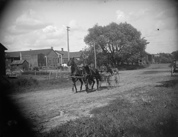 Man Driving Buggy | Photograph | Wisconsin Historical Society
