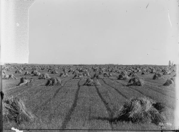 Field with Shocks of Hay | Photograph | Wisconsin Historical Society