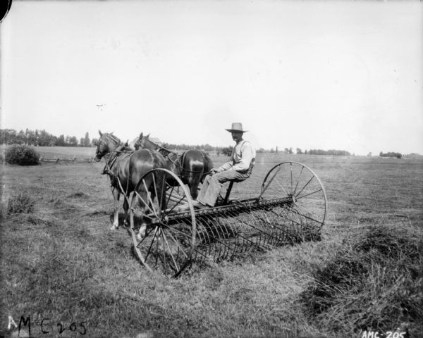 Man Using Horse-Drawn Dump Rake | Photograph | Wisconsin Historical Society