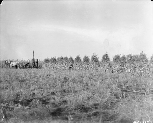 Man Using Horse-Drawn Binder in Field | Photograph | Wisconsin ...