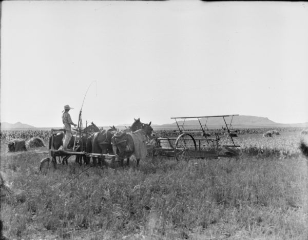 Horse-Powered Push Binder Headers | Photograph | Wisconsin Historical ...