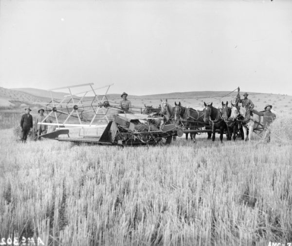 Horse-Powered Push Binder Headers | Photograph | Wisconsin Historical ...