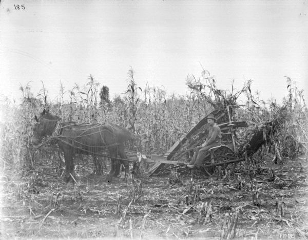 Horse-Drawn Corn Binder | Photograph | Wisconsin Historical Society