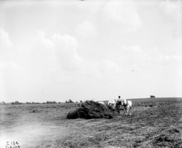 Man Using Horse-Powered Hay Stacker | Photograph | Wisconsin Historical ...