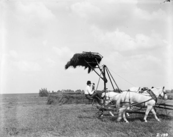Sweep Rake Mounted Between Two Horses | Photograph | Wisconsin ...