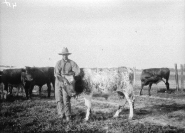 Man Posing with Cows | Photograph | Wisconsin Historical Society