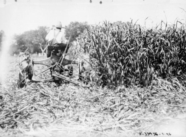 Man Using Farmall Tractor in Cornfield | Photograph | Wisconsin ...