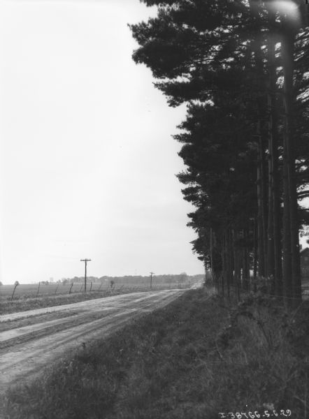 View Down Country Road | Photograph | Wisconsin Historical Society