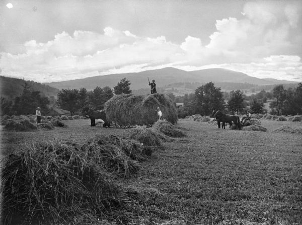 Loading Hay | Photograph | Wisconsin Historical Society