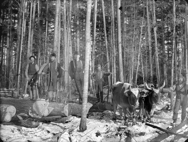 Men Logging | Photograph | Wisconsin Historical Society