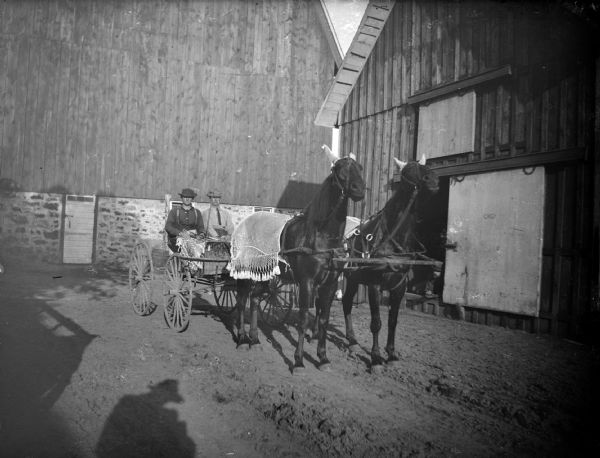 Man and Woman in Buggy | Photograph | Wisconsin Historical Society
