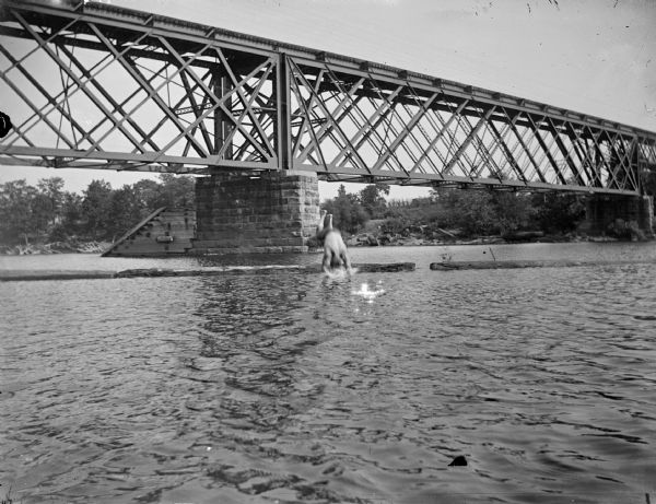 Man Diving off Railroad Bridge | Photograph | Wisconsin Historical Society