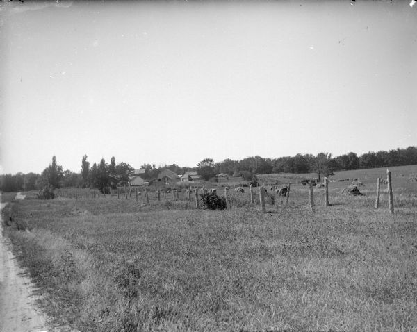 A Farm Field with Hay | Photograph | Wisconsin Historical Society