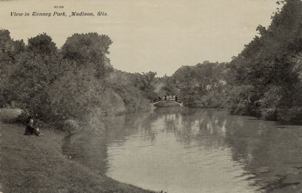View in Tenney Park | Postcard | Wisconsin Historical Society