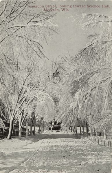 Langdon Street, Looking Toward Science Hall | Postcard | Wisconsin ...